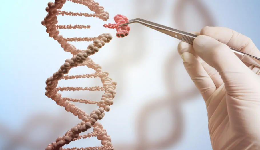 News | Oribiotech Ltd